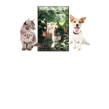 Hemp Pet – 100% Natural Hemp Oils & Treats for Dogs, Cats and Horses ...